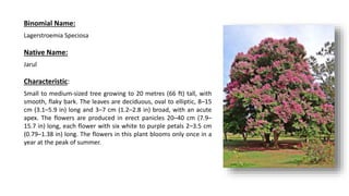 PLANTS FOR RIPARIAN BUFFER FOR BANGLADESH | PPTX