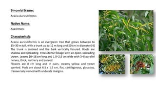 PLANTS FOR RIPARIAN BUFFER FOR BANGLADESH | PPT