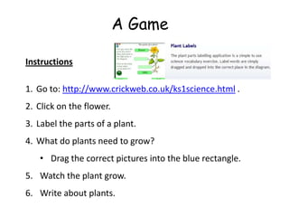 Parts of Plants | PPT