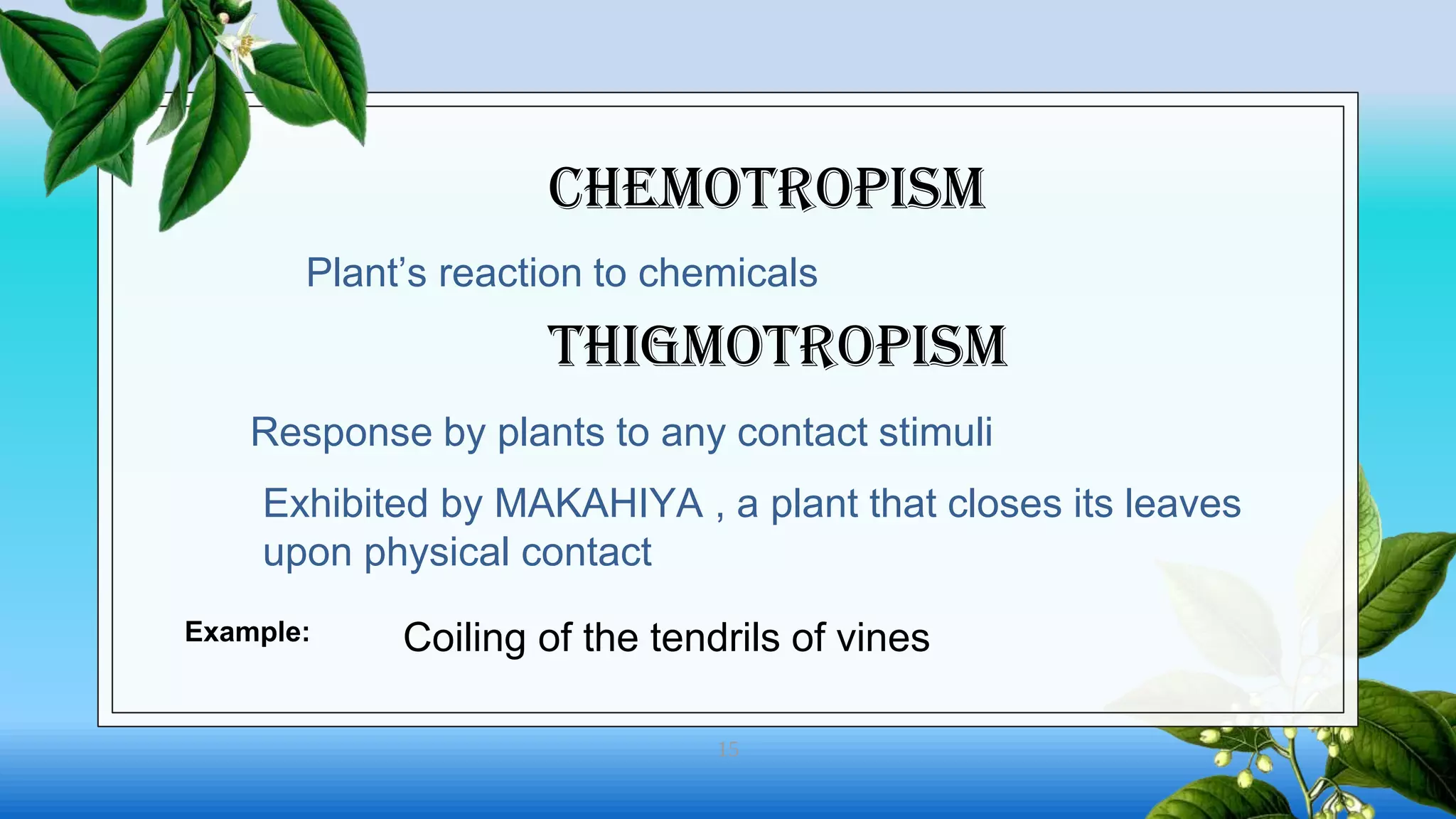 Plants growth and response | PPTX