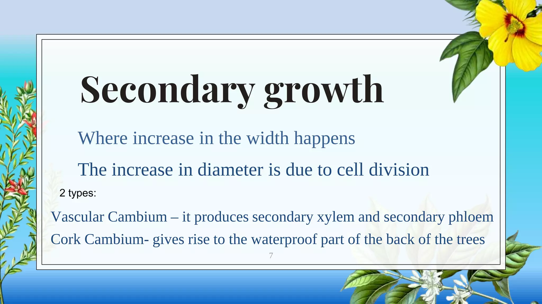Plants growth and response | PPTX