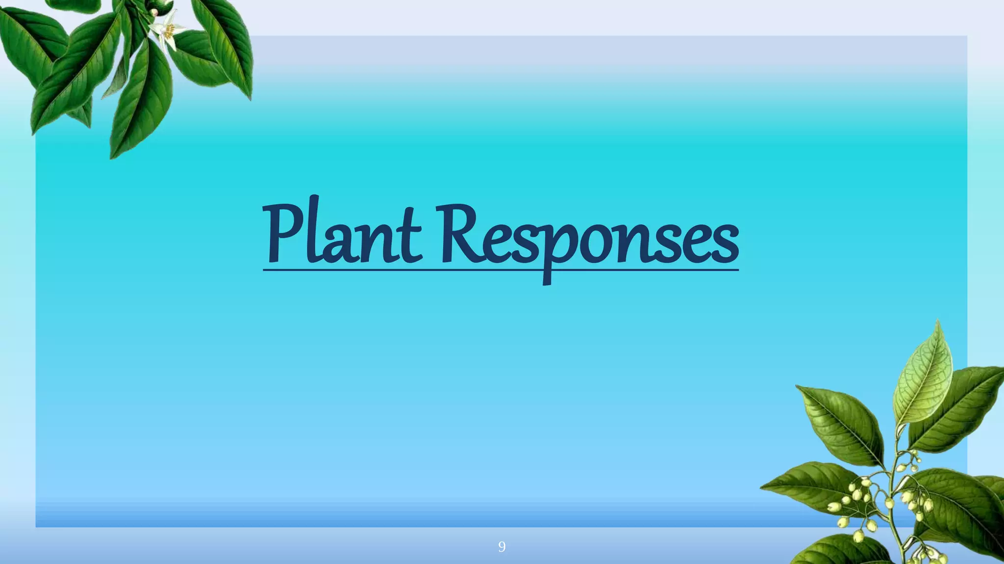 Plants growth and response | PPTX