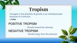 Plants growth and response | PPTX