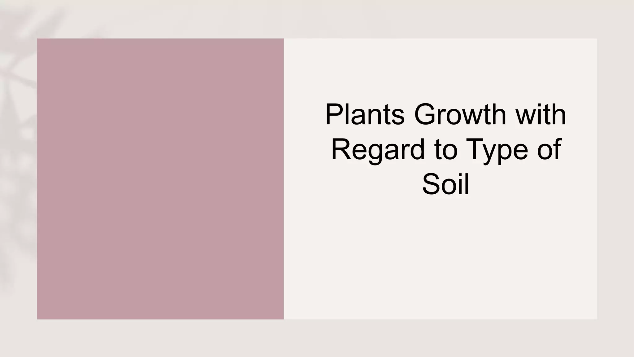 Plants Growth with Regard to Type of Soil.pptx