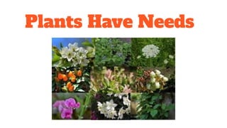 Plants Have Needs Presentation - Science.pdf