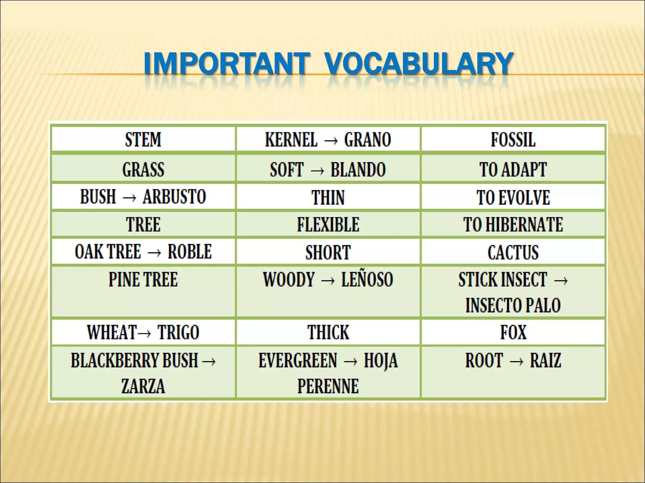 Plants have similarities and differences | PPT