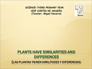 Plants have similarities and differences | PPT
