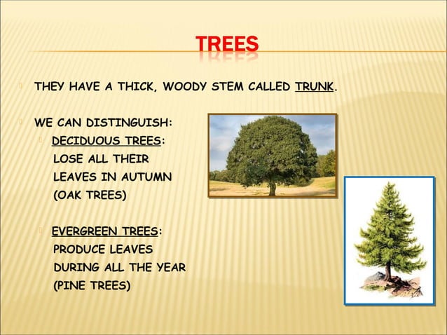 Plants have similarities and differences | PPT
