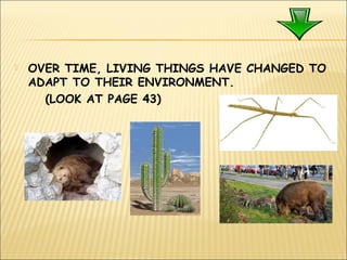 Plants have similarities and differences | PPT