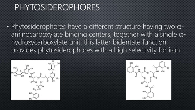 Plant siderophores | PPT