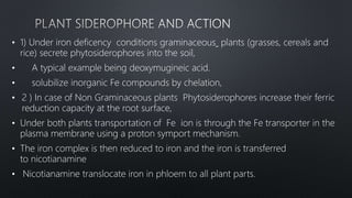 Plant siderophores | PPTX