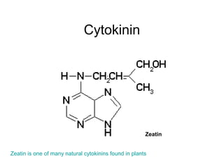 Plant signaling | PPT