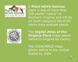 33 Plant Signs 5 x 4 inch including NOVA Natives and other perennials ...