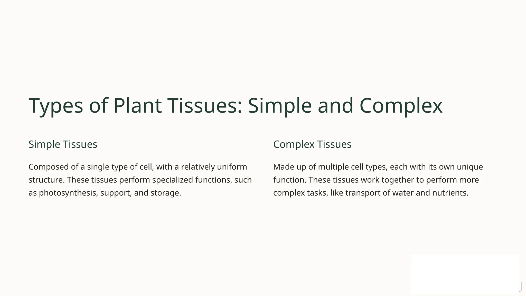 plant simple tissue.pptx free to use for students | PPTX