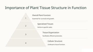 plant simple tissue.pptx free to use for students | PPT