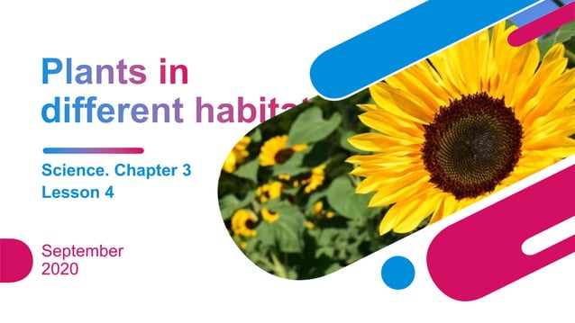 How do plants live in different habitat.pptx | Gardening | Home & Garden