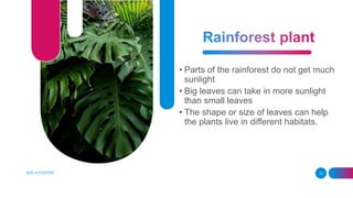 How do plants live in different habitat.pptx | Gardening | Home & Garden
