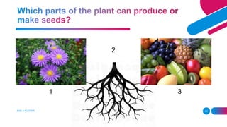 How do plants live in different habitat.pptx | Gardening | Home & Garden