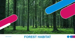 How do plants live in different habitat.pptx | Gardening | Home & Garden