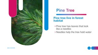 How do plants live in different habitat.pptx | Gardening | Home & Garden