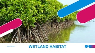 How do plants live in different habitat.pptx | Gardening | Home & Garden