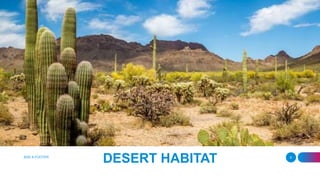 How do plants live in different habitat.pptx | Gardening | Home & Garden