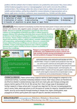 Plants in tissue culture slideshare | PDF