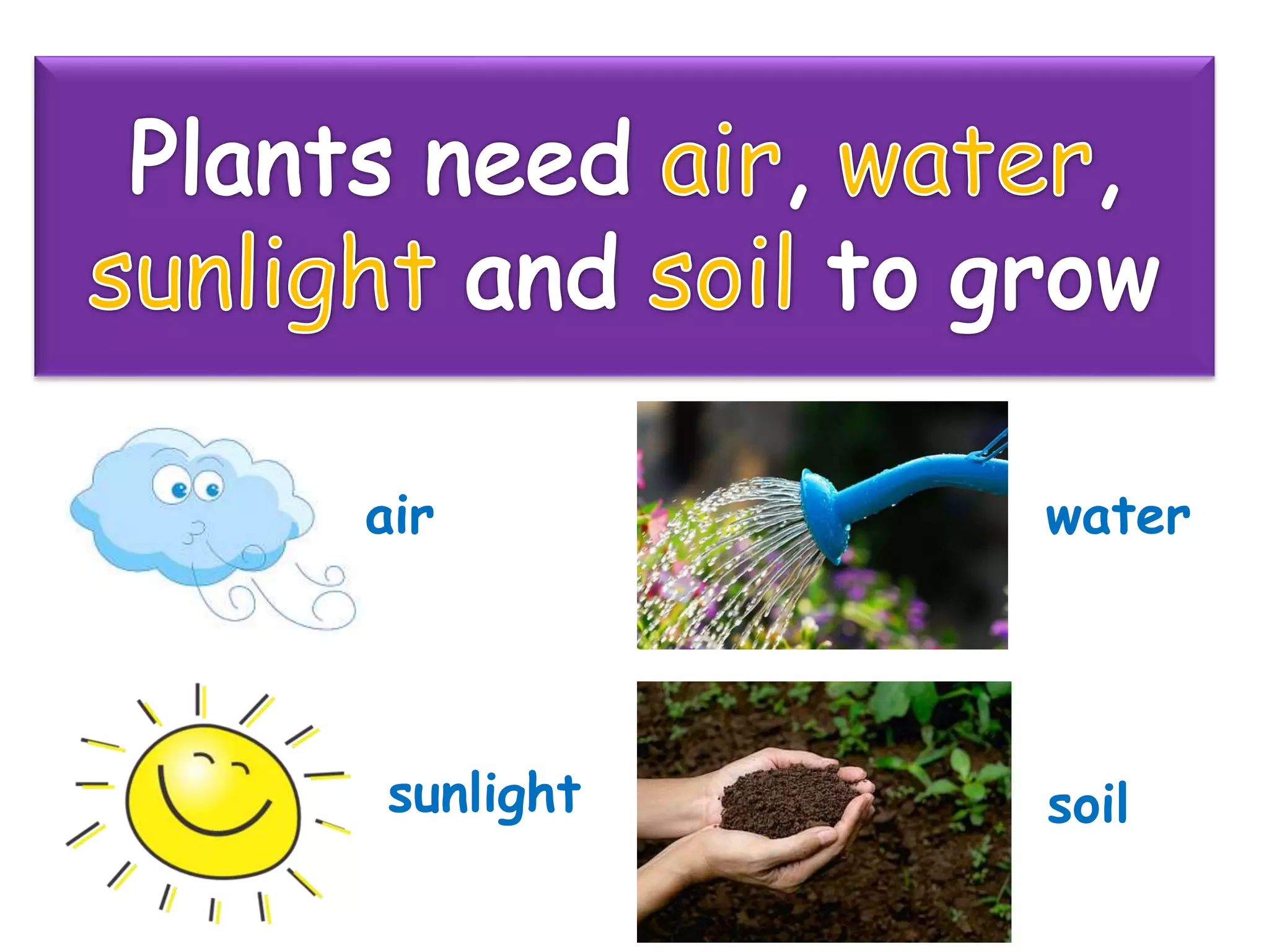 Plants introduction | PPT