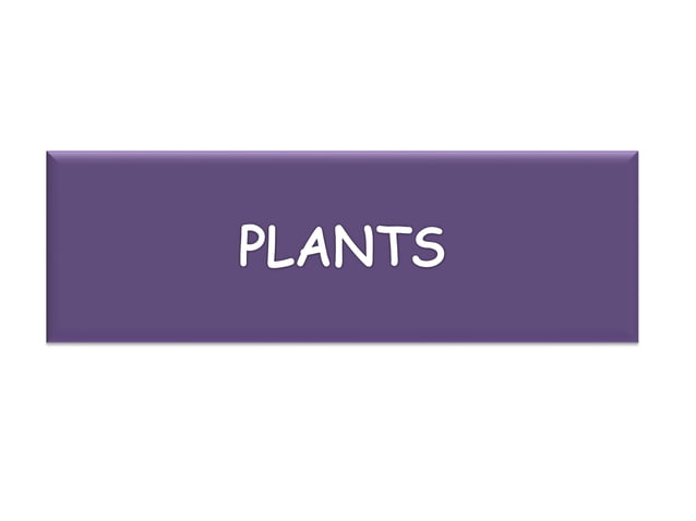 Plants introduction | PPT