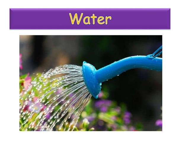 Plants introduction | PPT