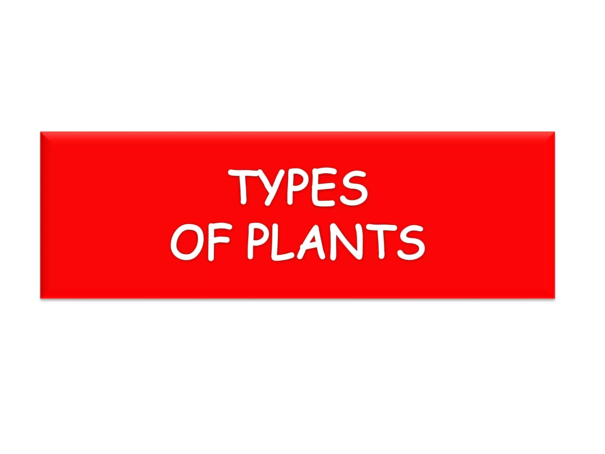 Plants introduction, characteristics of plants | PPT