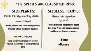 PLANTS KINGDOM eso esquemas................................... | PDF