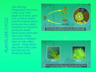 Plants life cycle | PPT