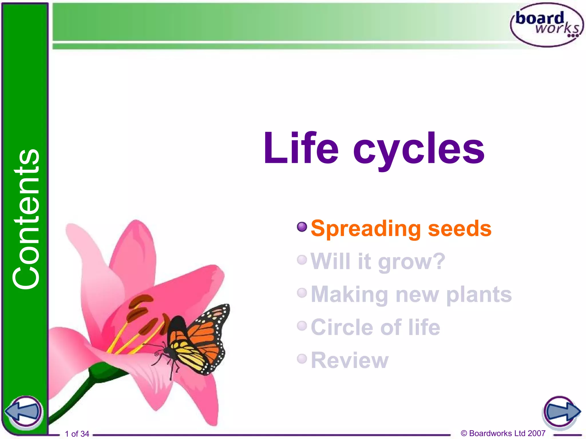 Plants life cycles | PPT