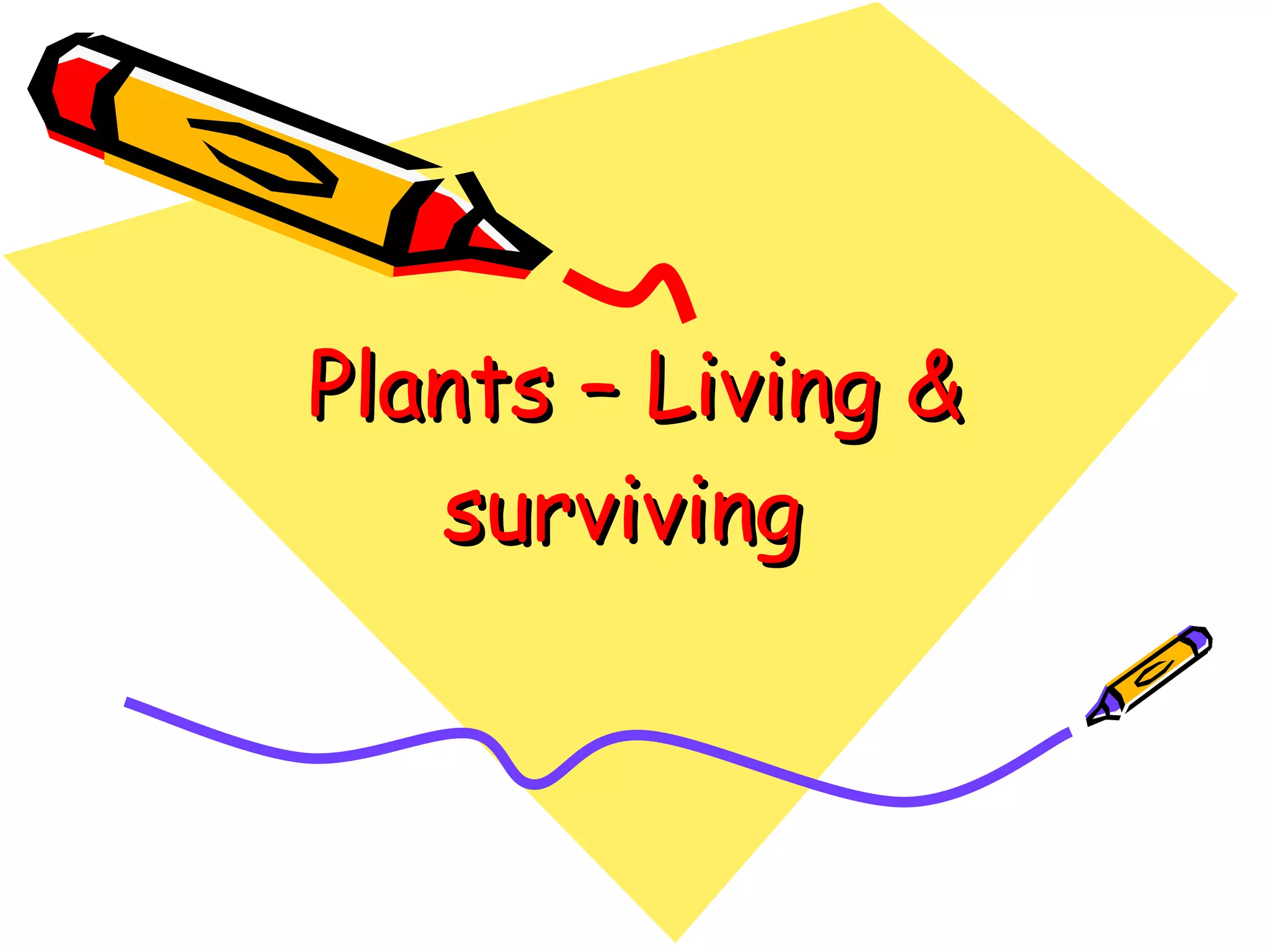 Plants – living & surviving | PPT