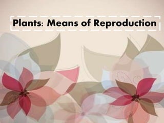 (Plants) Means of Reproduction | PPT