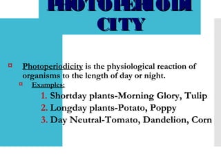 Plants movements | PPT