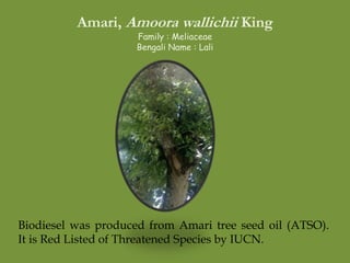 Flora of North Bengal Series 1 | PPTX