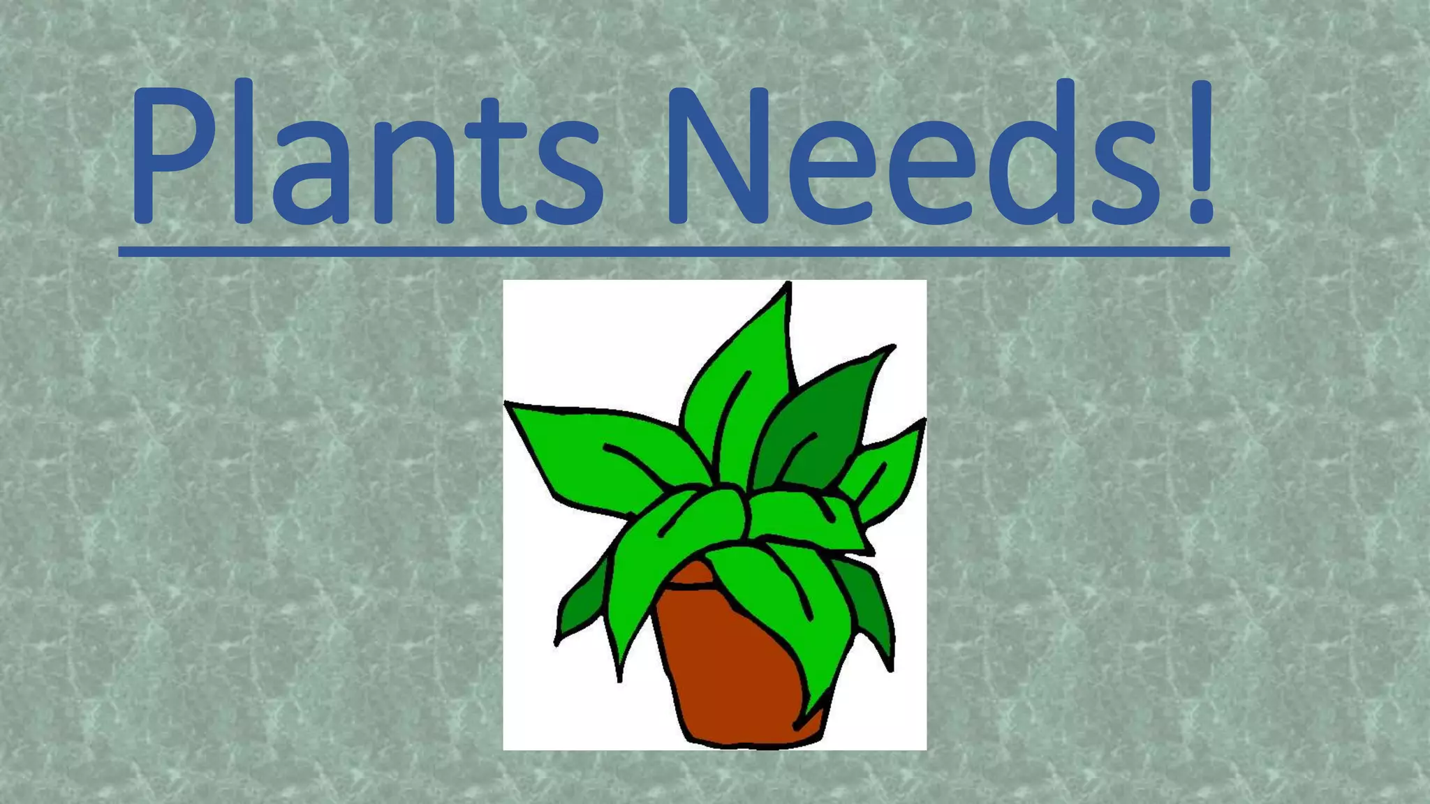Plants needs | PPTX