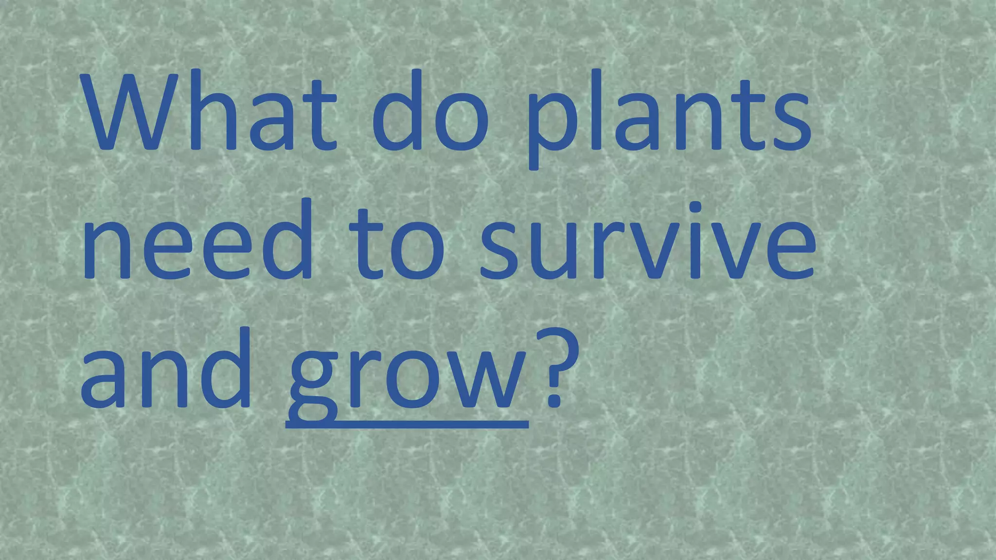 What do plants need to survive? | PPTX