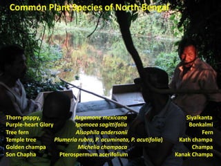 Plants of North Bengal series 2 | PPTX