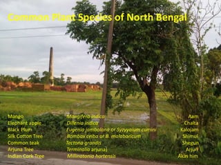 Plants of NORTH BENGAL Series 3 | PPT