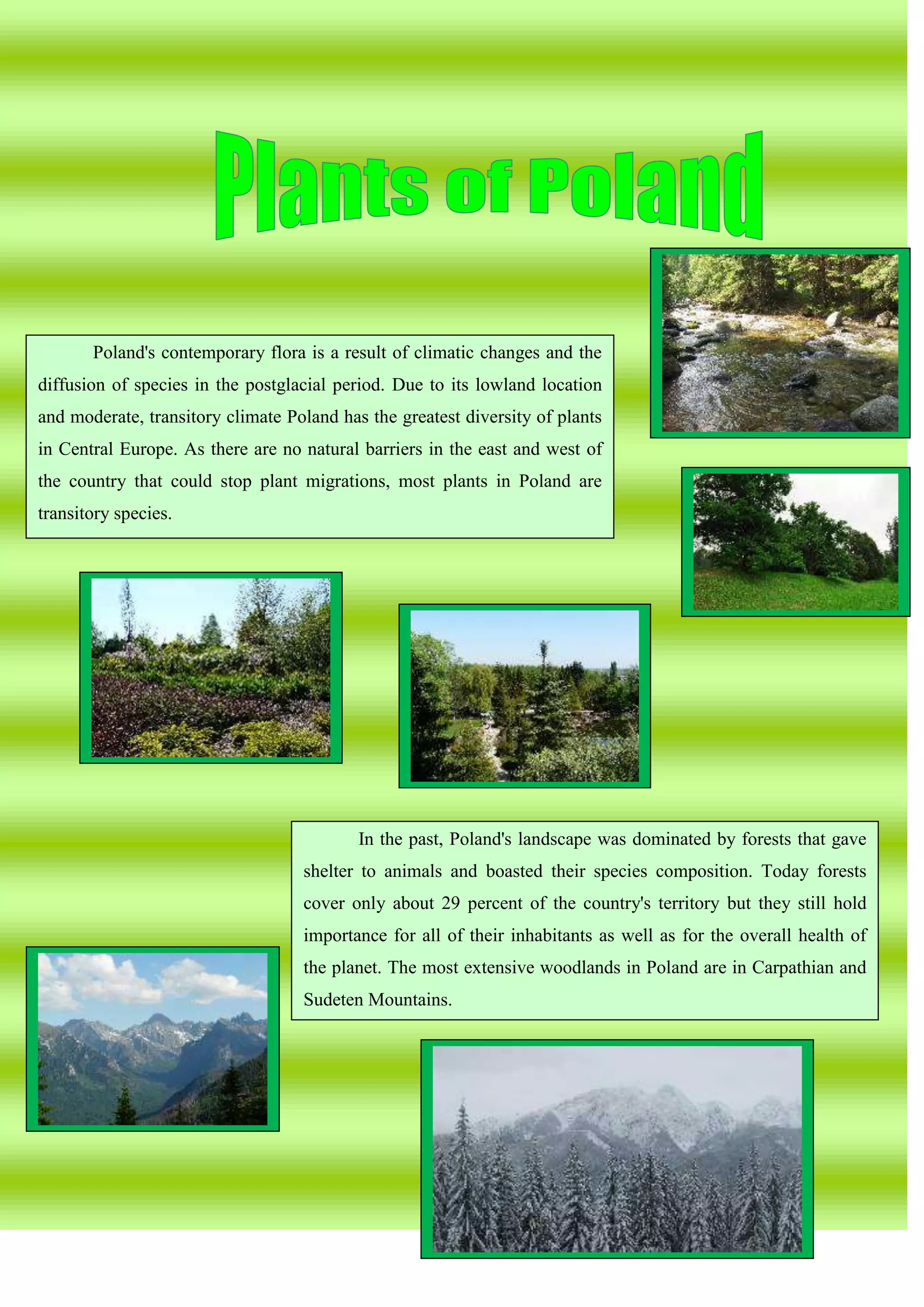 Plants of Poland | DOC | Gardening | Home & Garden