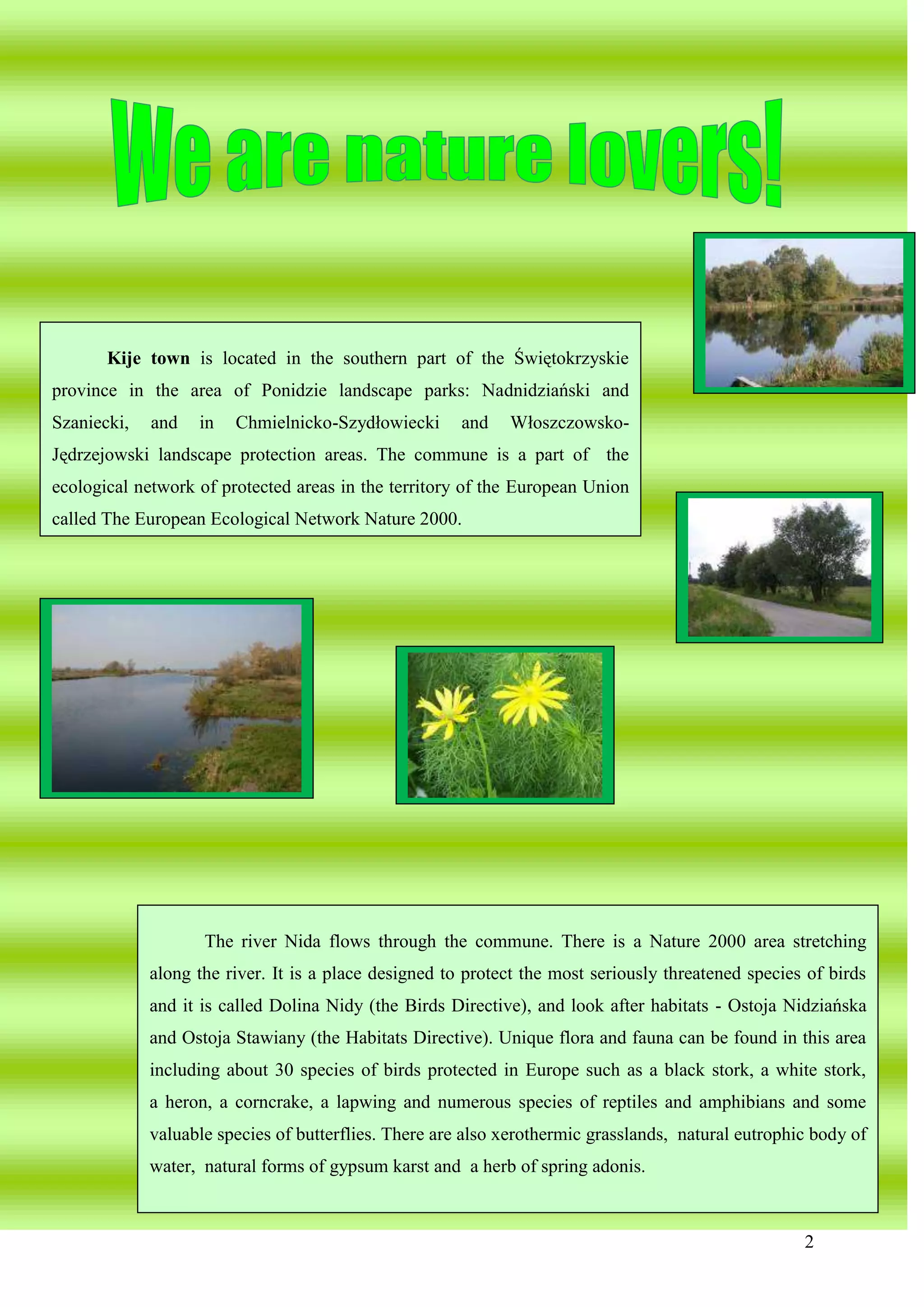 Plants of Poland | DOC | Gardening | Home & Garden