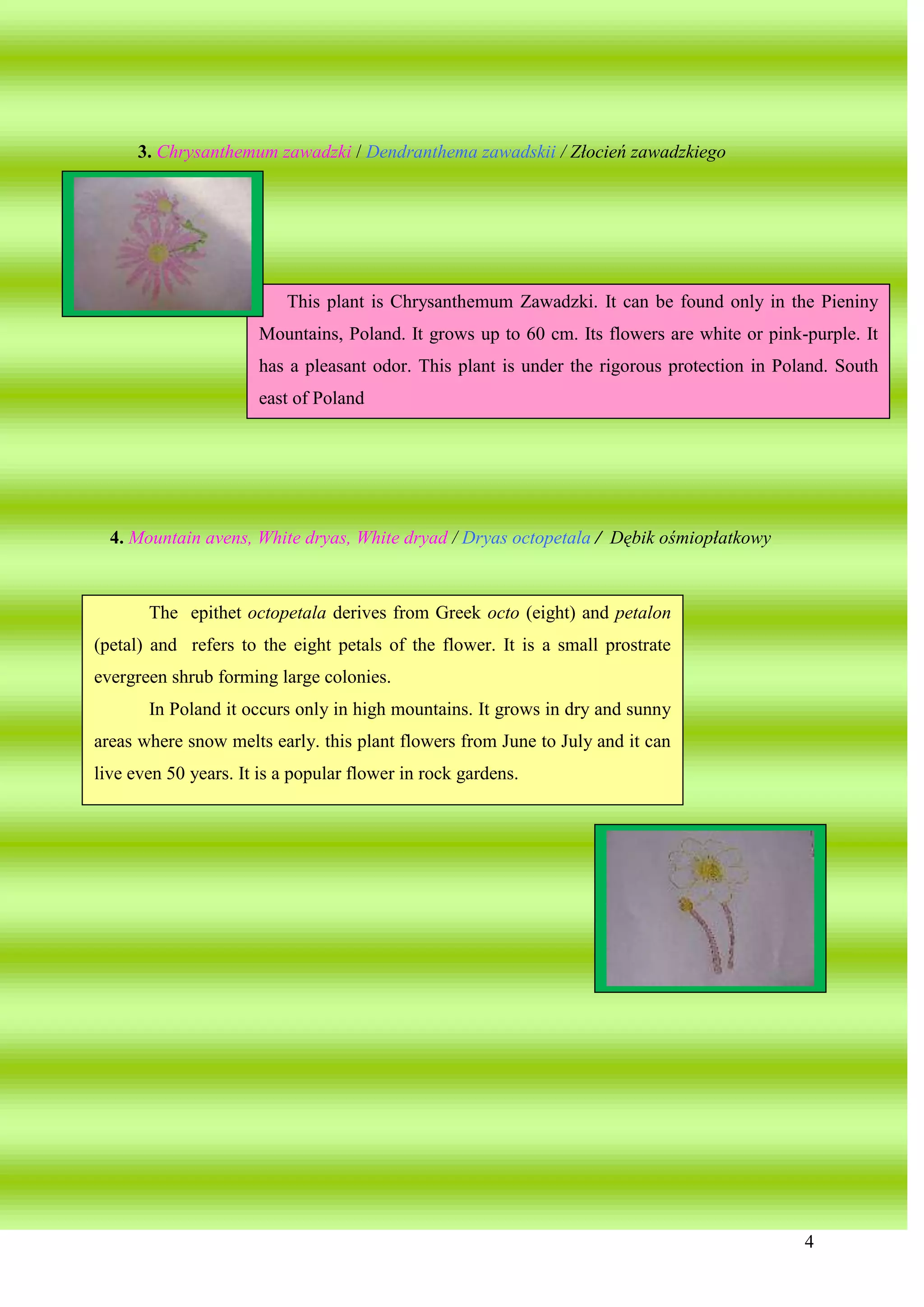 Plants of Poland | DOC | Gardening | Home & Garden