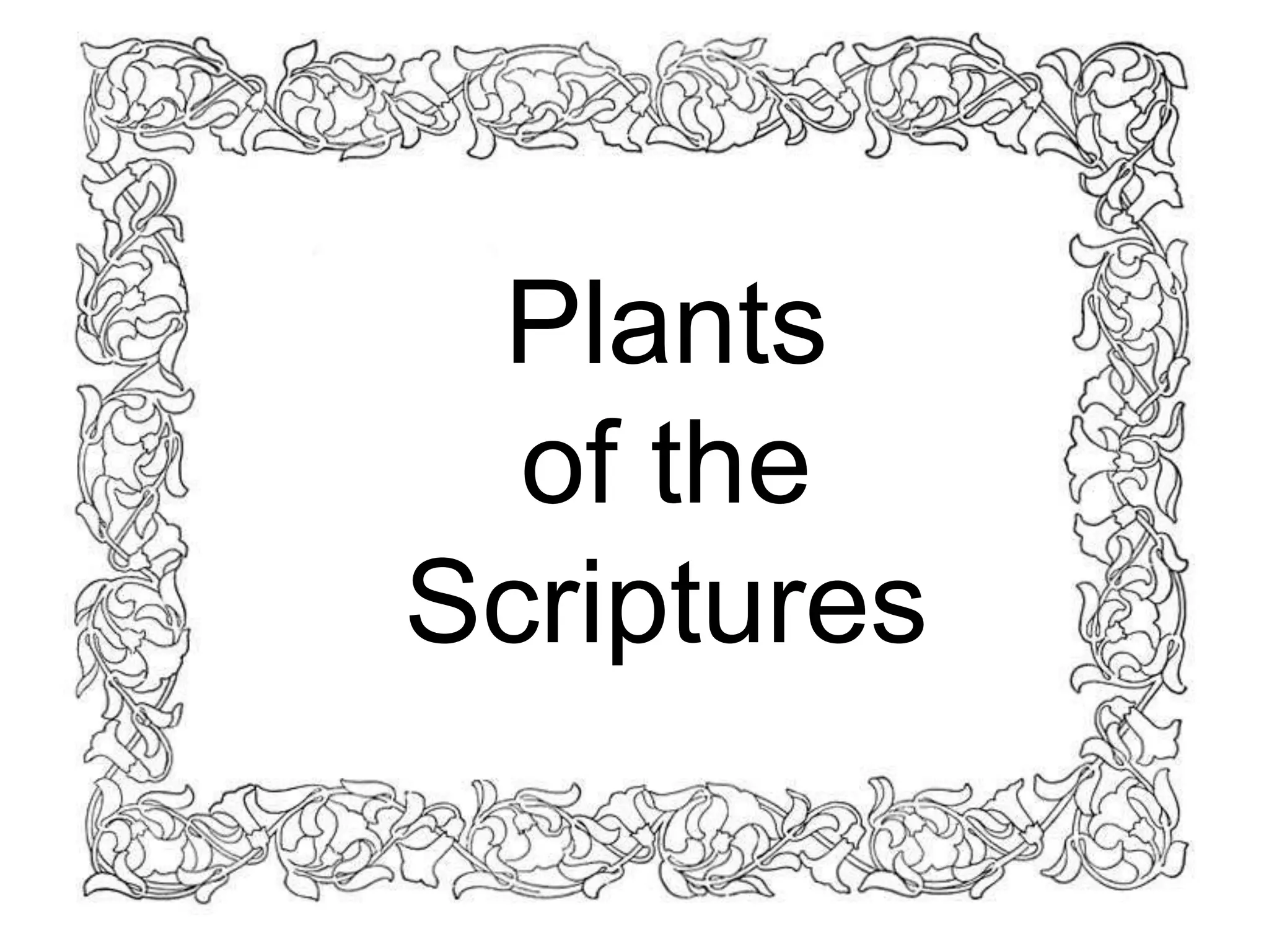 Plants of the Scriptures | PPTX