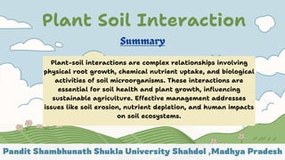 plant soil interaction. Understanding the Complex Relationship between ...