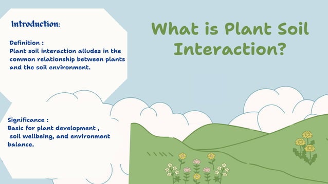 plant soil interaction. Understanding the Complex Relationship between ...