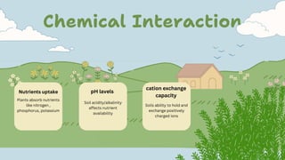 plant soil interaction. Understanding the Complex Relationship between ...