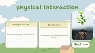 plant soil interaction. Understanding the Complex Relationship between ...